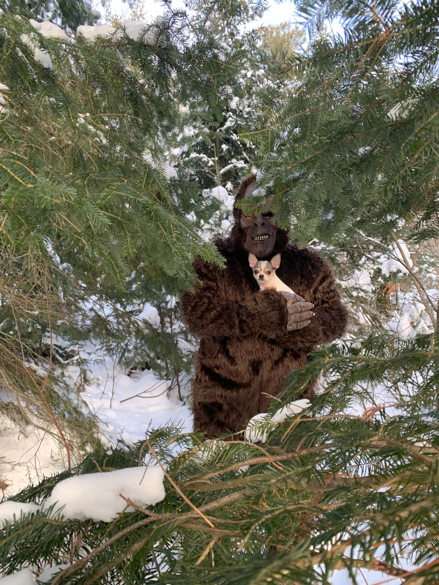 #sasquatch – The Flannel Couch